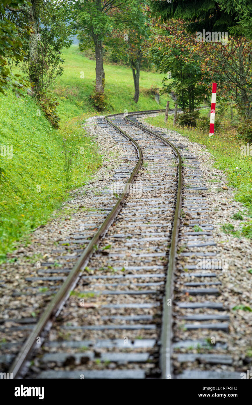 wavy log railway tracks in wet green forest with fresh meadows in ...