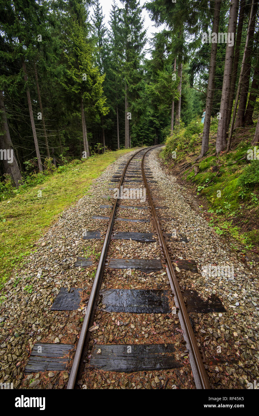 wavy log railway tracks in wet green forest with fresh meadows in ...