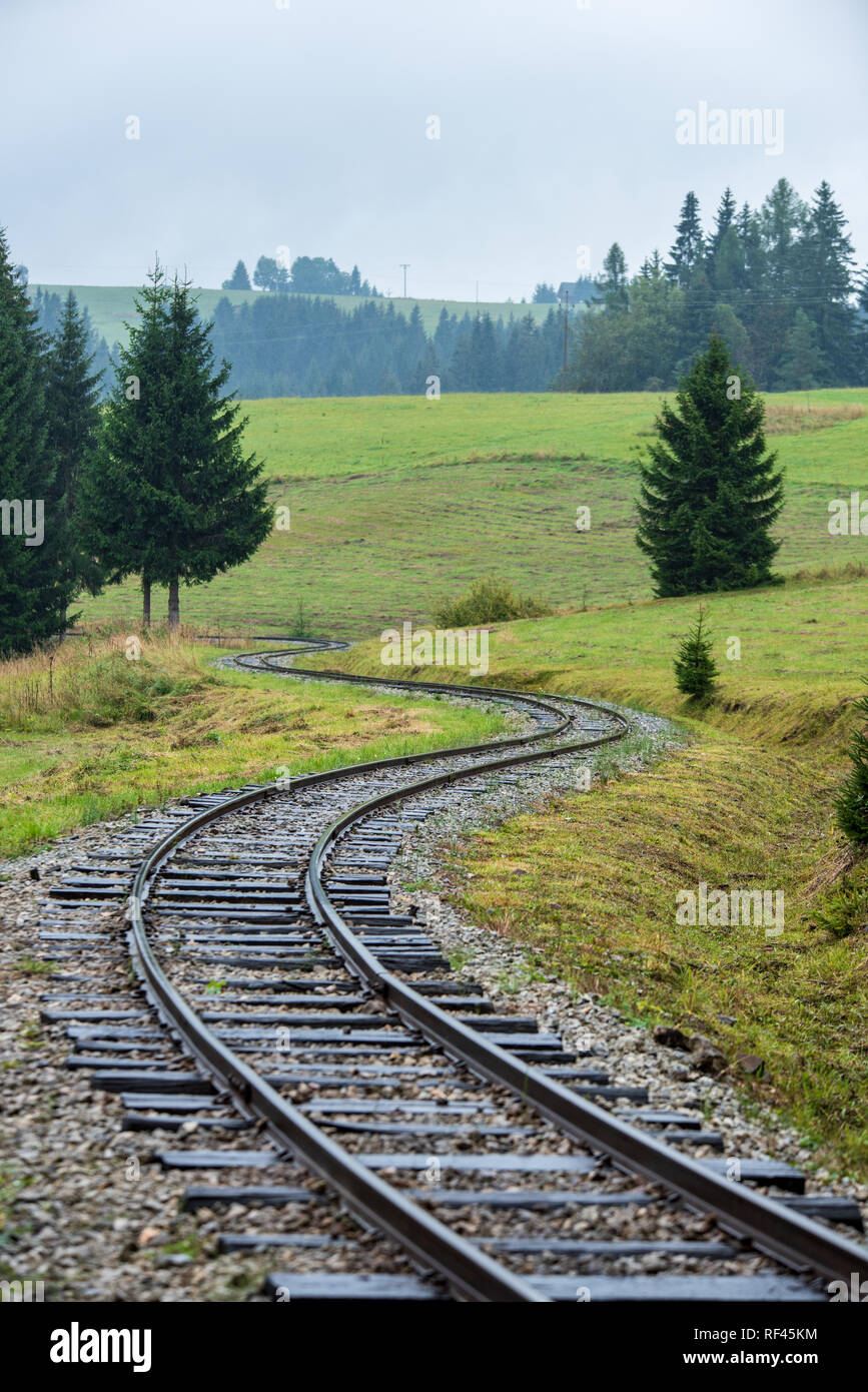 wavy log railway tracks in wet green forest with fresh meadows in ...