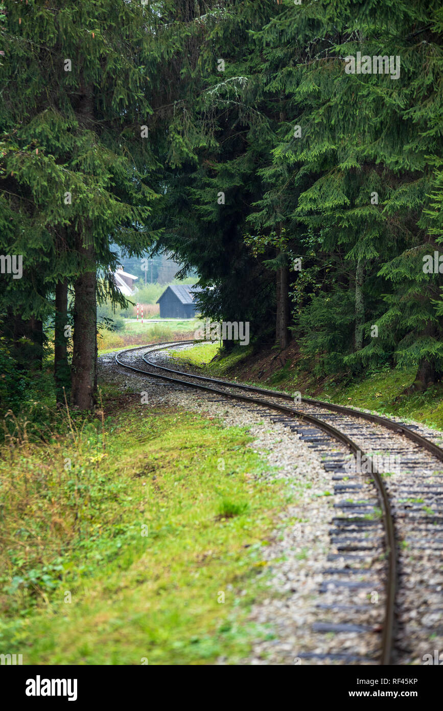 wavy log railway tracks in wet green forest with fresh meadows in ...