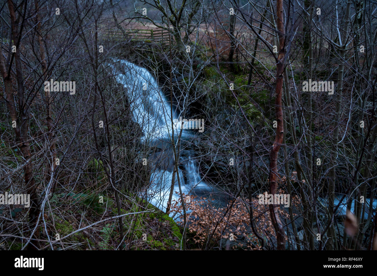 Thirlmere lake & reservoir, The Lake District, Cumbria Stock Photo - Alamy