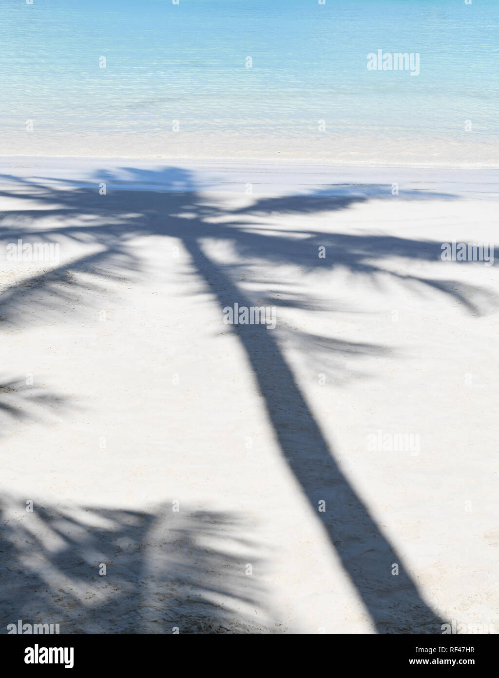 Palm tree shadow on a tropical beach Stock Photo - Alamy