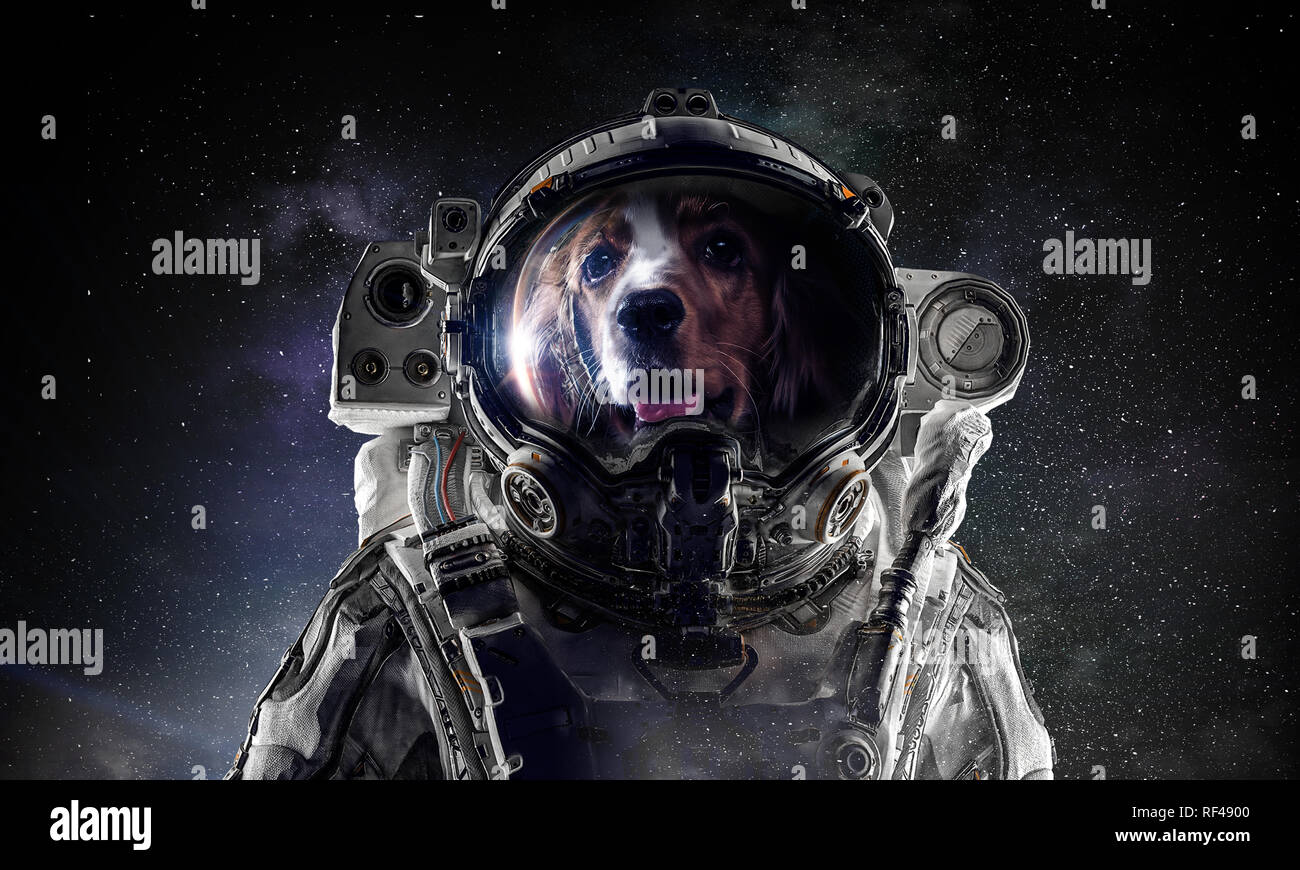 Astronaut Dog In Space