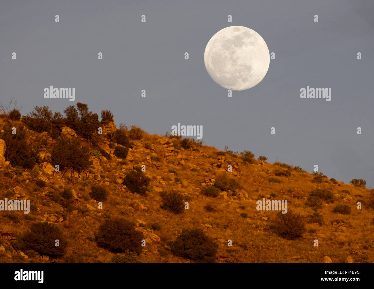 Beautiful moon rises above ridge top glowing red in sunset light on Mt ...