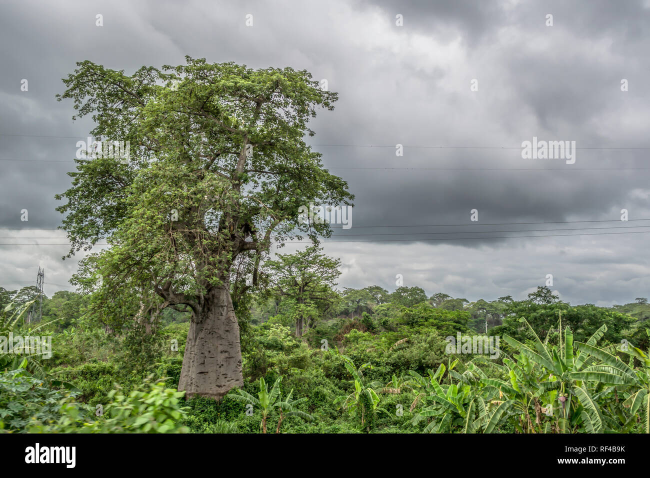 Trip through Angola lands 2018: View with typical tropical landscape ...