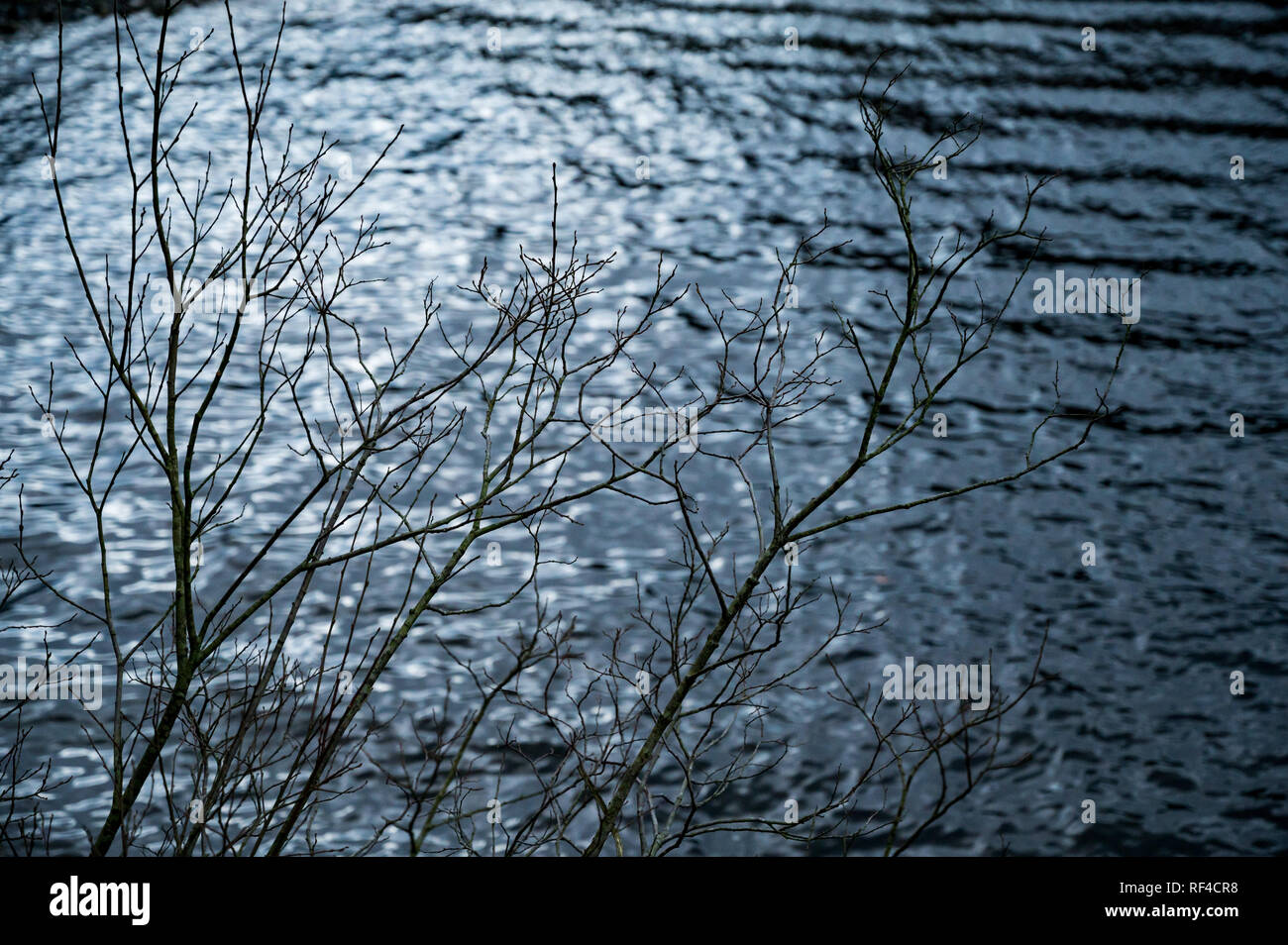Thirlmere lake & reservoir, The Lake District, Cumbria Stock Photo - Alamy