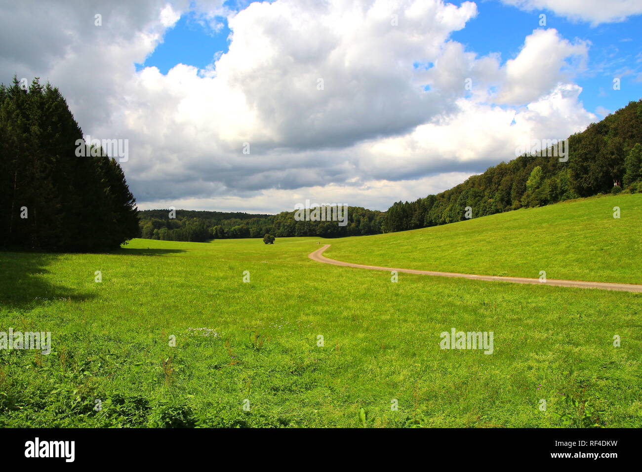 Green grass field. Sunny day with clouds. Field with path. Leading path ...