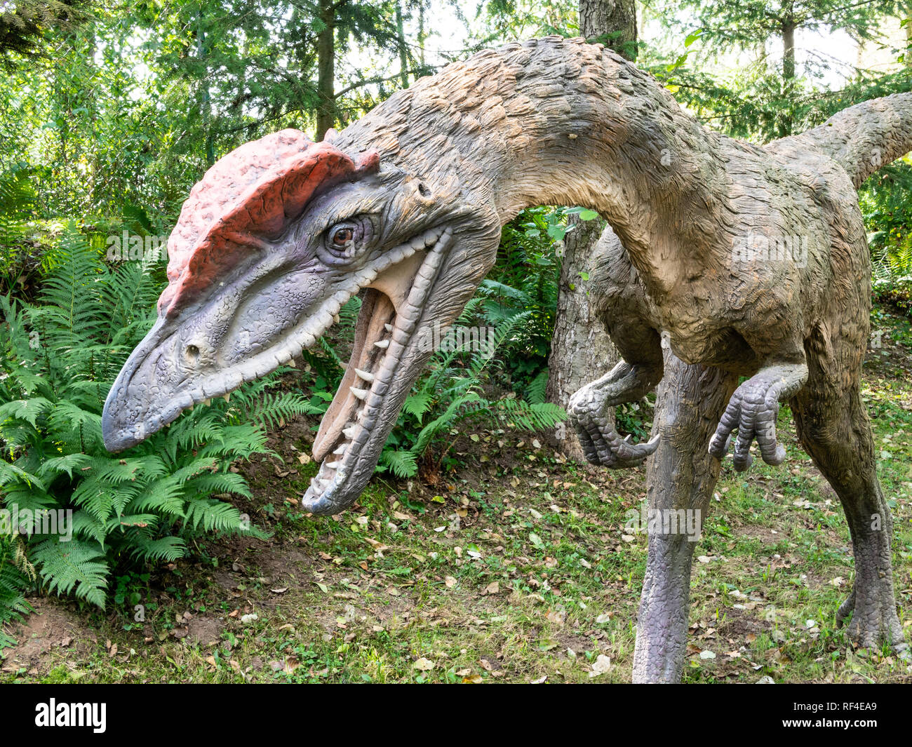 Dinosaurus hi-res stock photography and images - Alamy