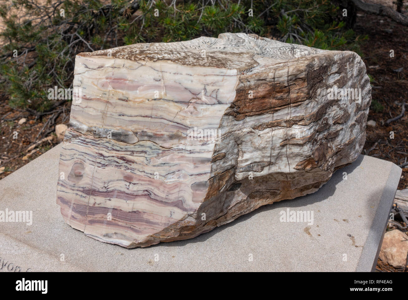 South bass trail grand canyon hi-res stock photography and images - Alamy