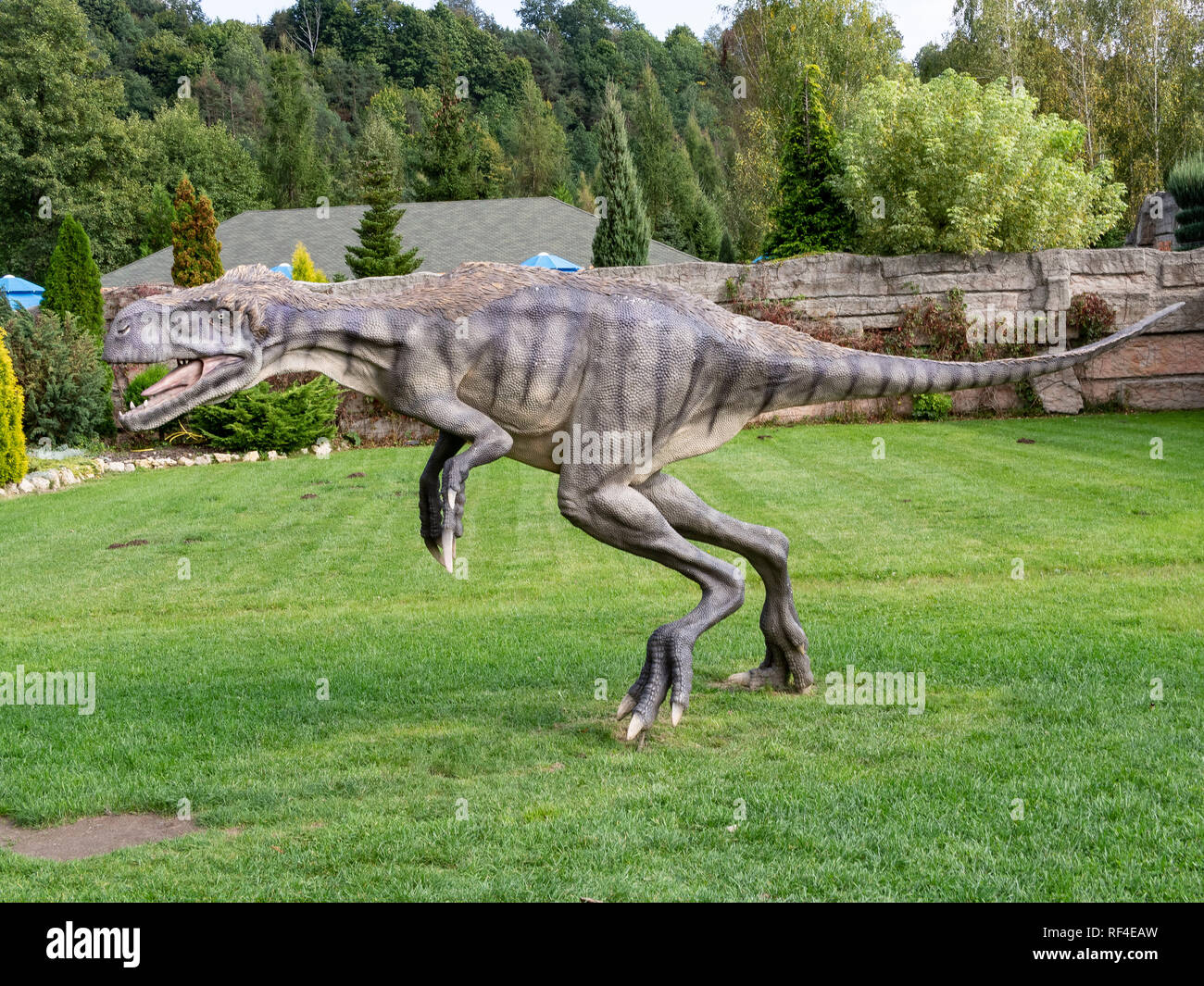 A model of predator dinosaur - eotyran Stock Photo - Alamy