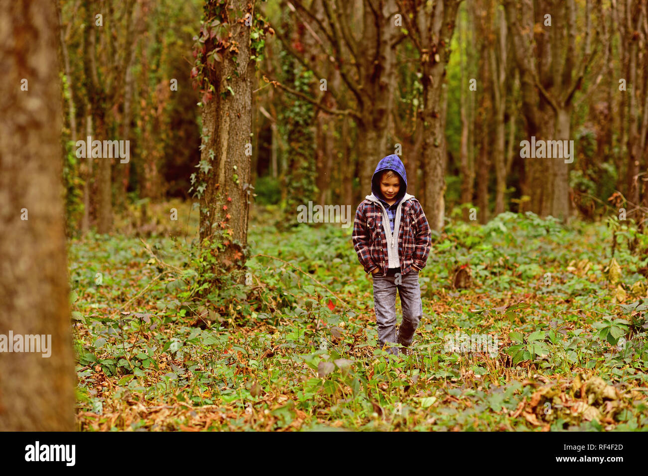 Homeless and abandoned. Homeless child walk in woods. Homeless boy ...