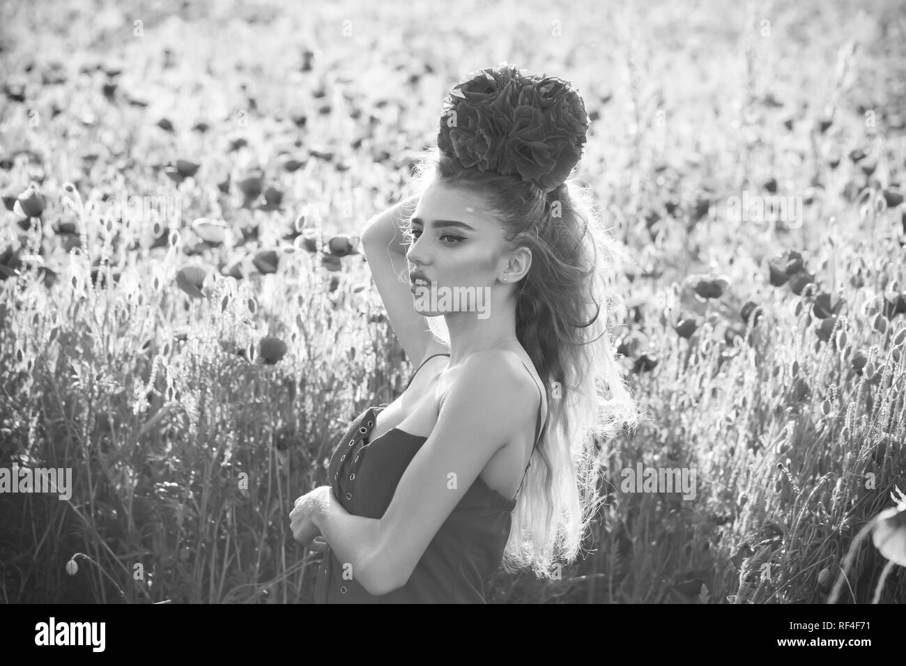 poppy seed bouquet at girl with long curly hair Stock Photo - Alamy