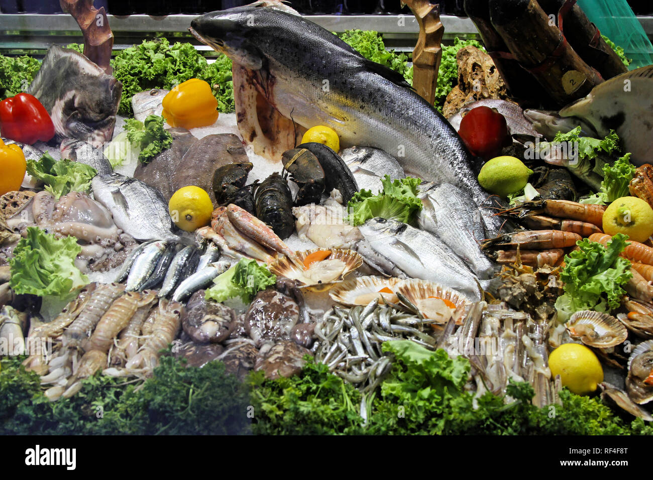 Seafood fish and shells variety in display Stock Photo - Alamy