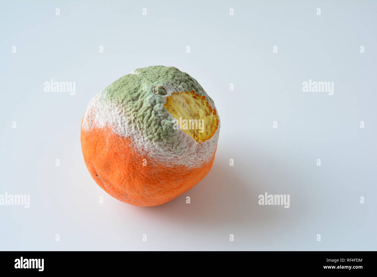 Moldy fruit hi-res stock photography and images - Alamy