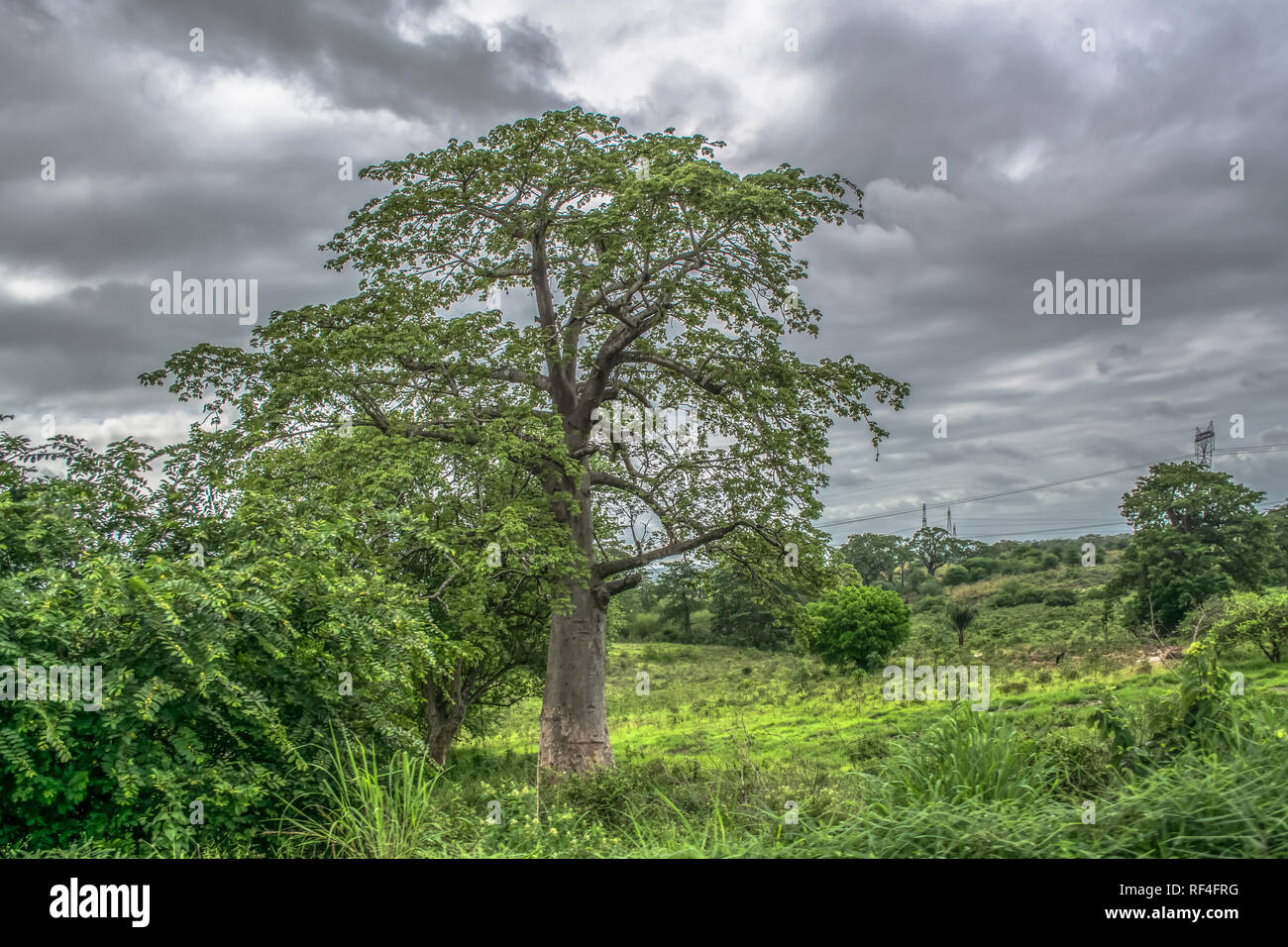 Trip through Angola's lands 2018: View with typical tropical landscape ...