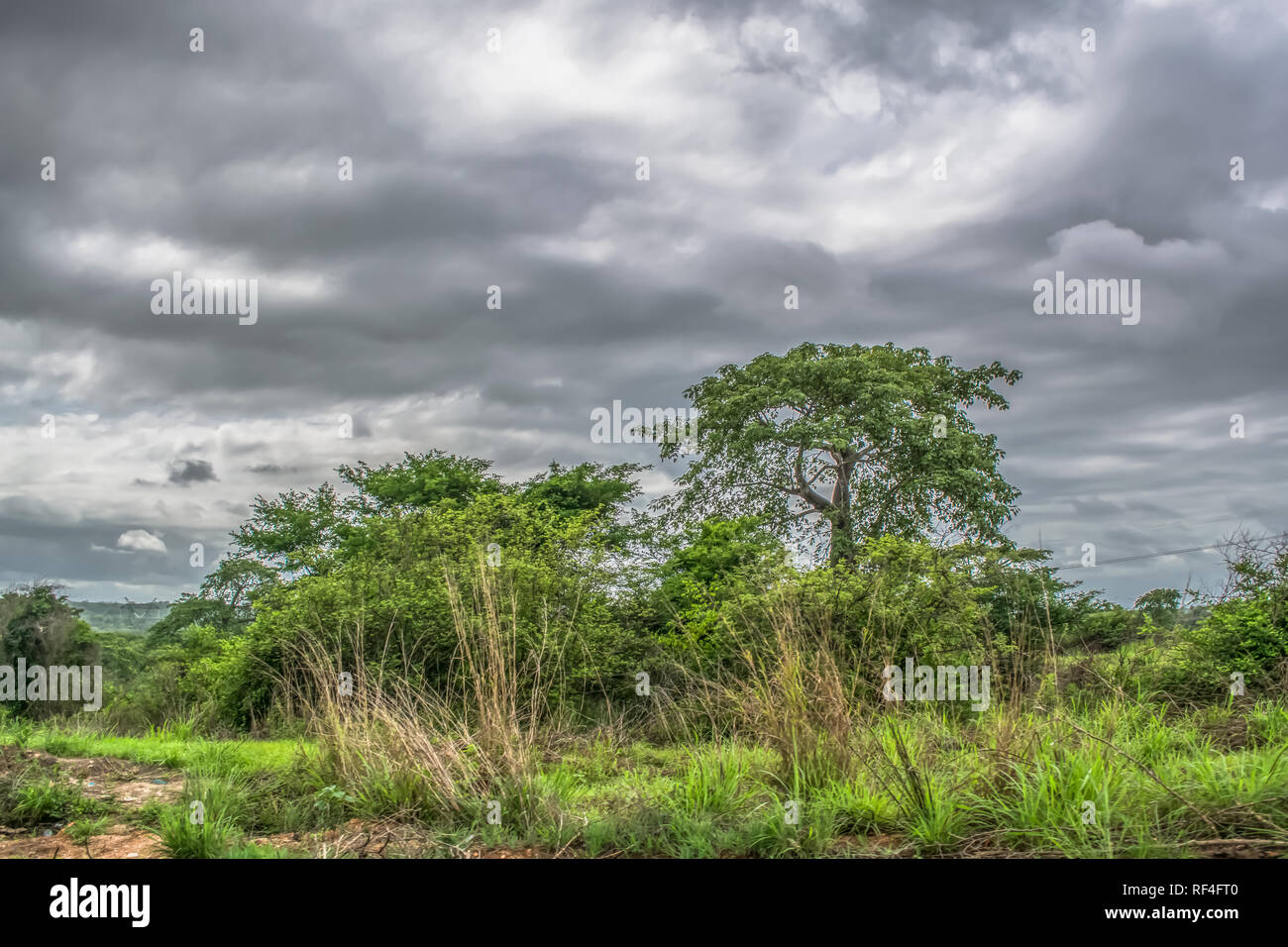 Trip through Angola's lands 2018: View with typical tropical landscape ...