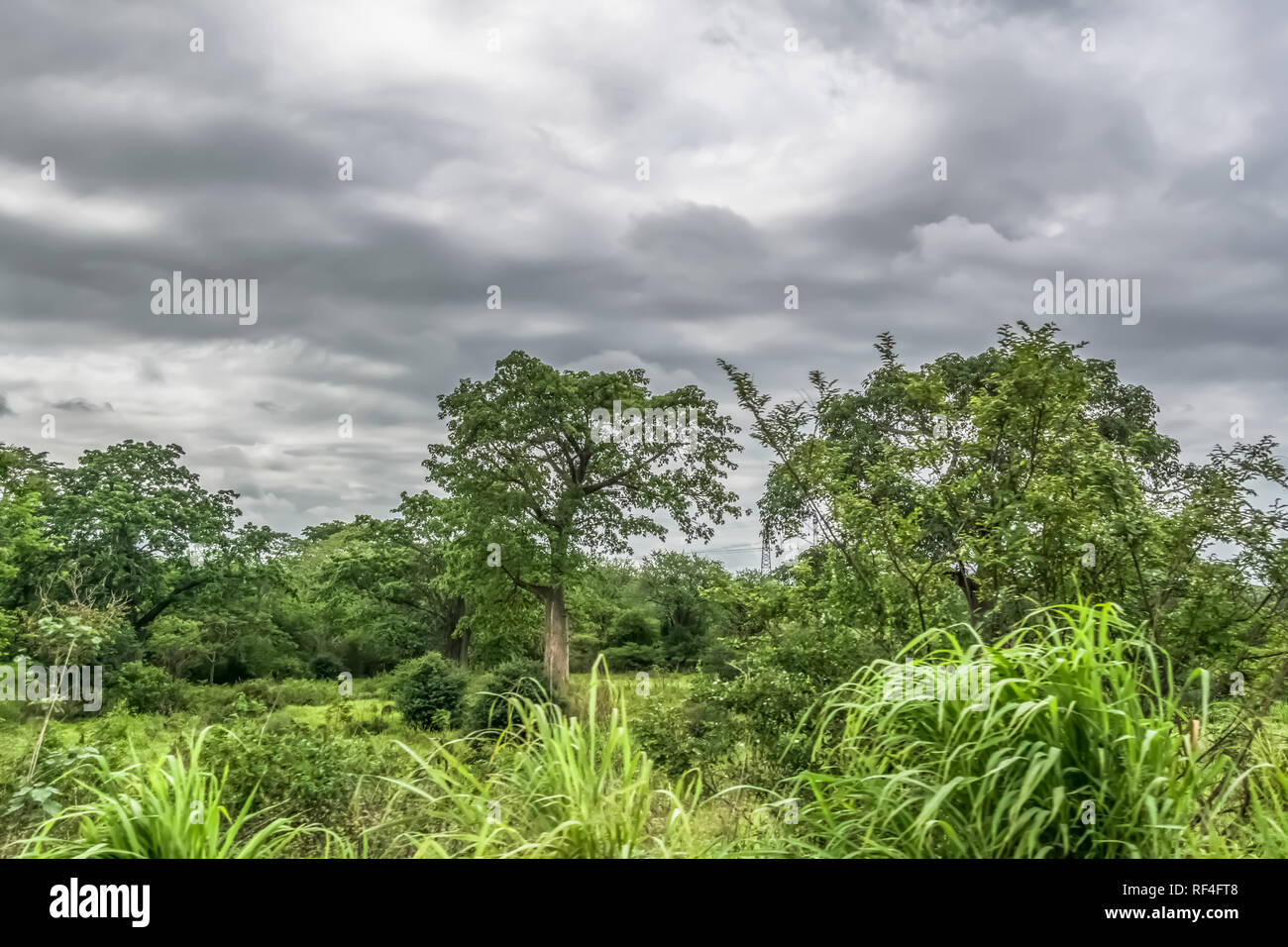 Trip through Angola's lands 2018: View with typical tropical landscape ...
