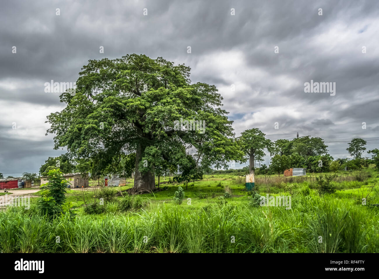 Trip through Angola's lands 2018: View with typical village houses ...