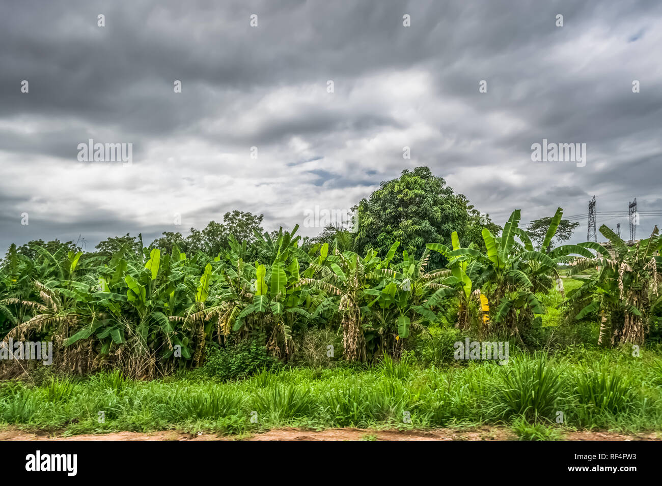 Trip through Angola's lands 2018: View with typical tropical landscape ...