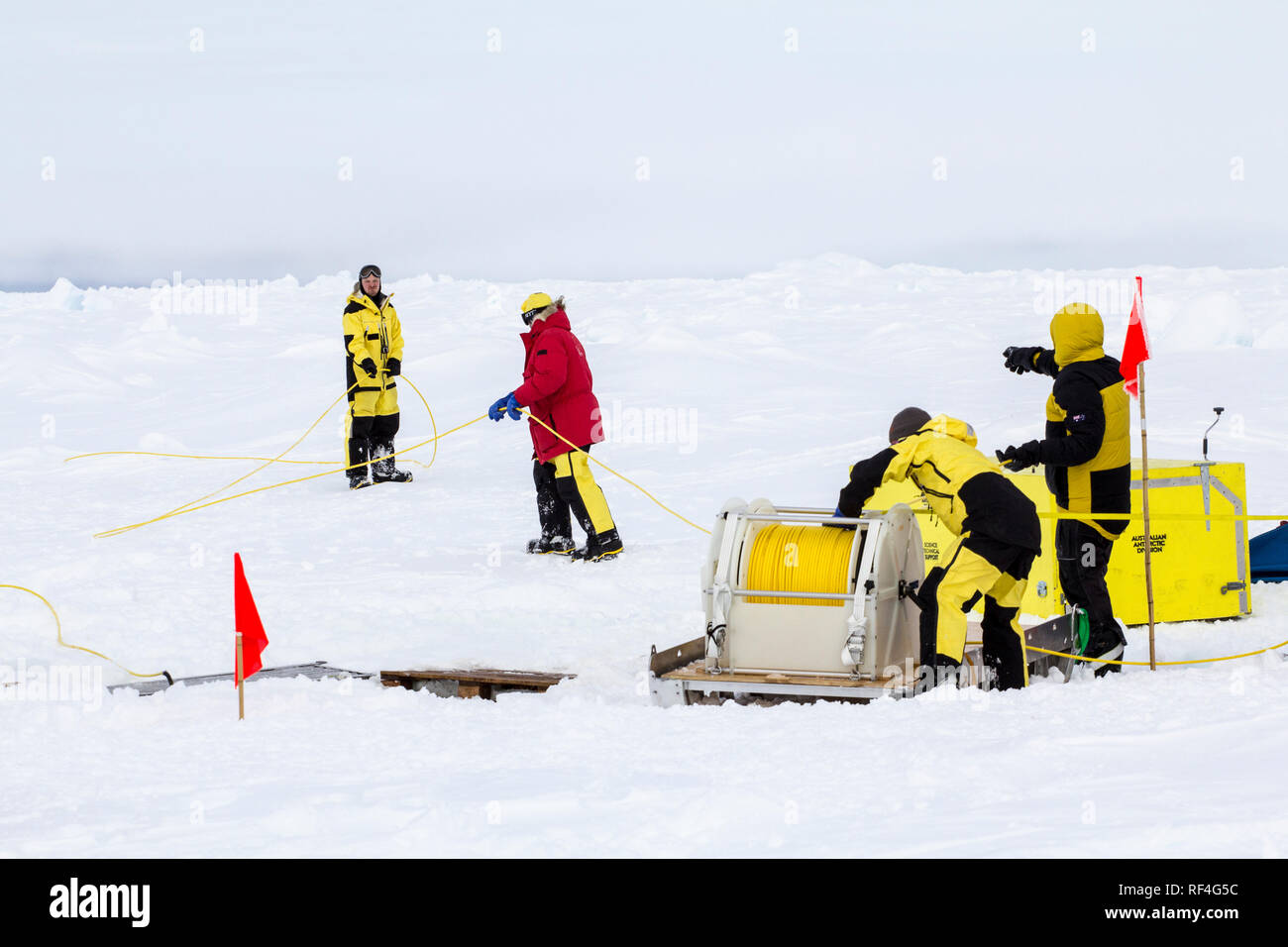 Phytoplankton from antarctica hi-res stock photography and images - Alamy