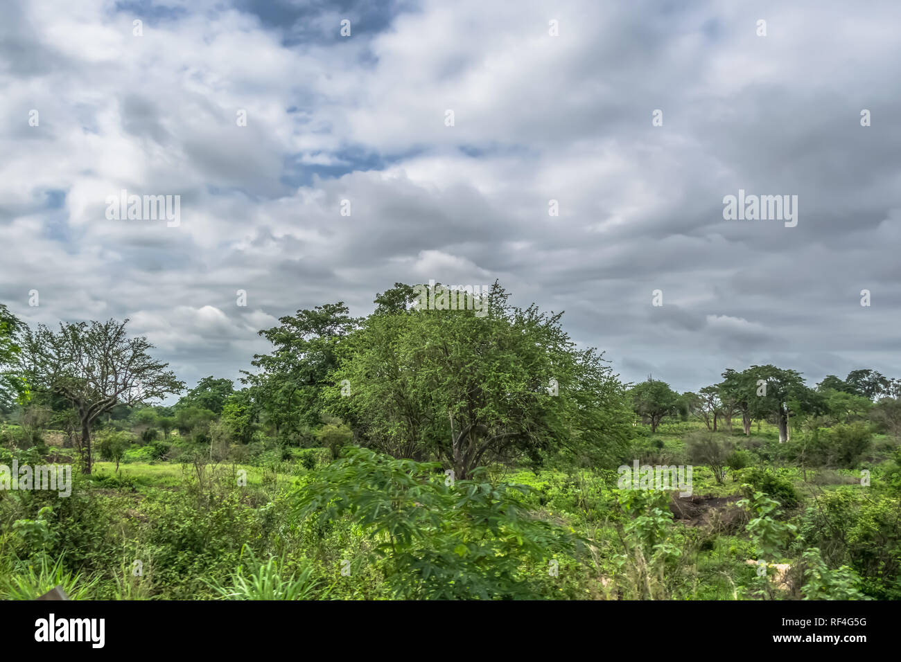 Trip through Angola's lands 2018: View with typical tropical landscape ...