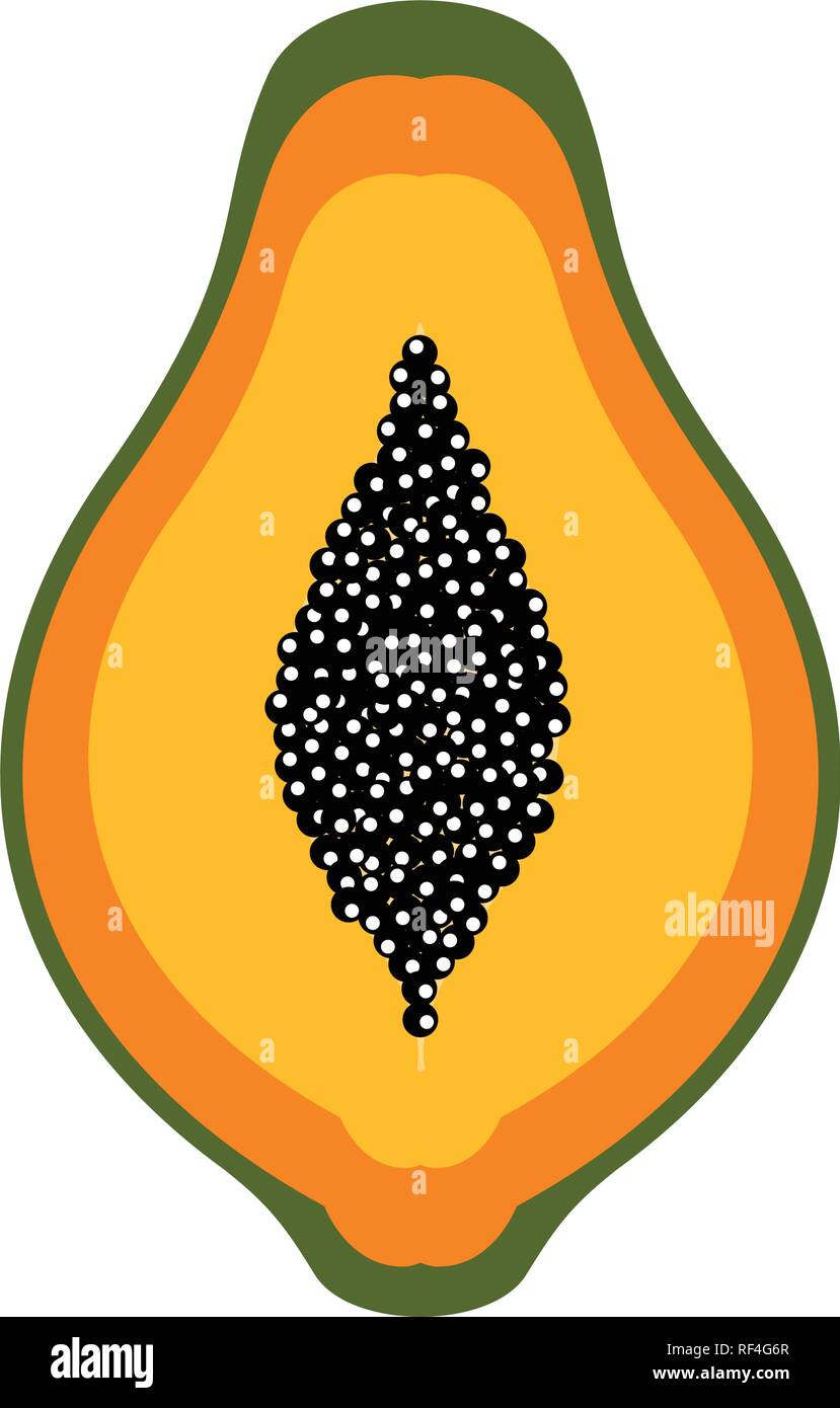 Papaya detail view Stock Vector Images - Alamy