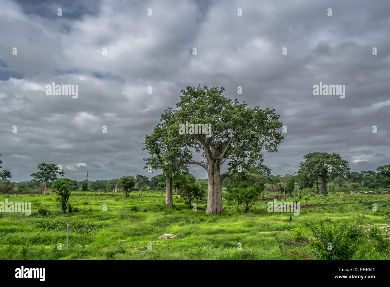 Trip through Angola's lands 2018: View with typical tropical landscape ...