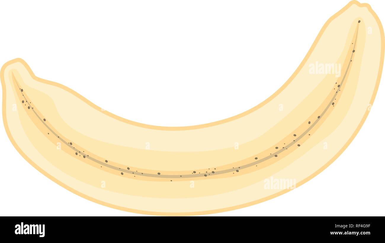 Side view of fresh Stock Vector Images - Alamy