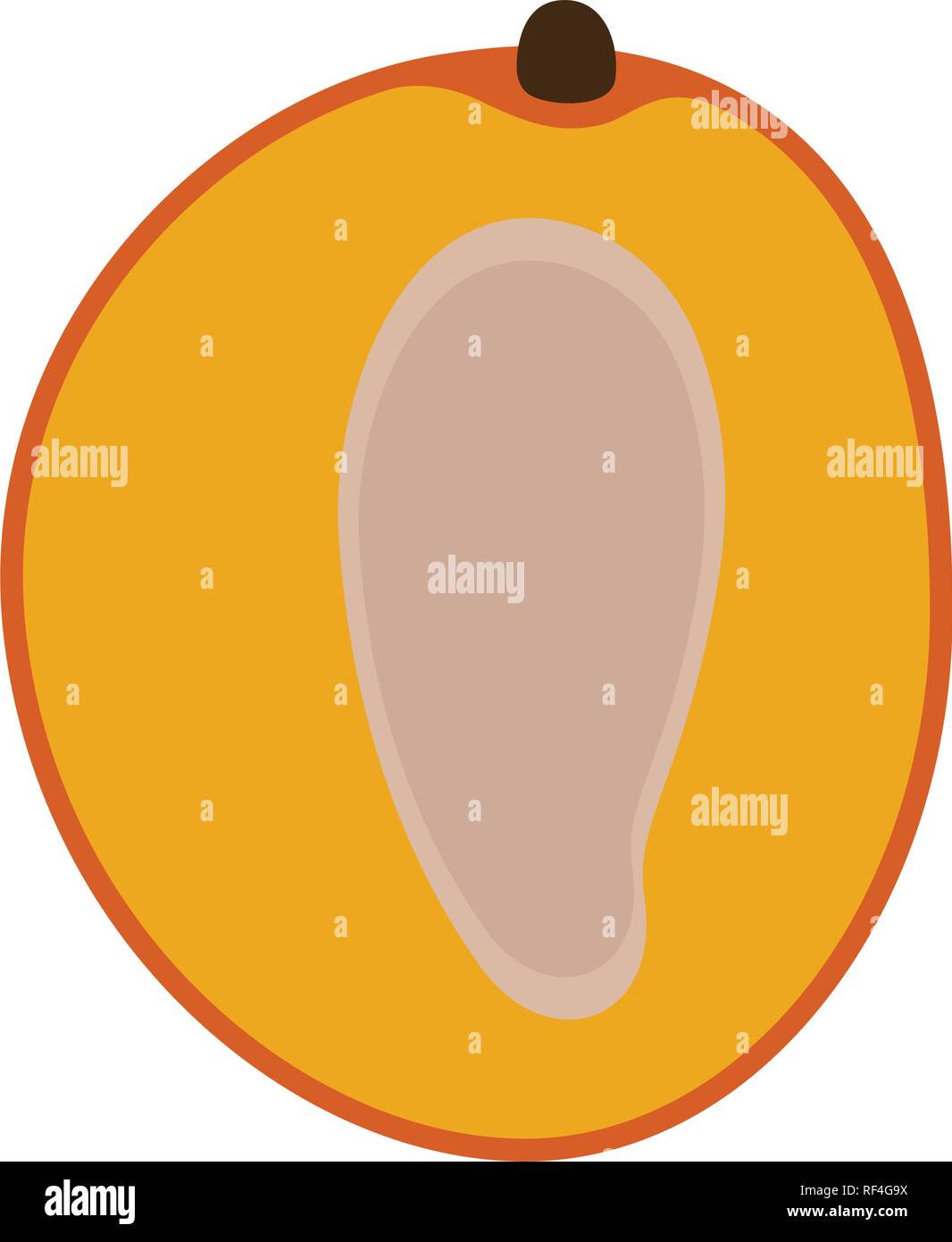 Isolated cut mango Stock Vector Image & Art - Alamy