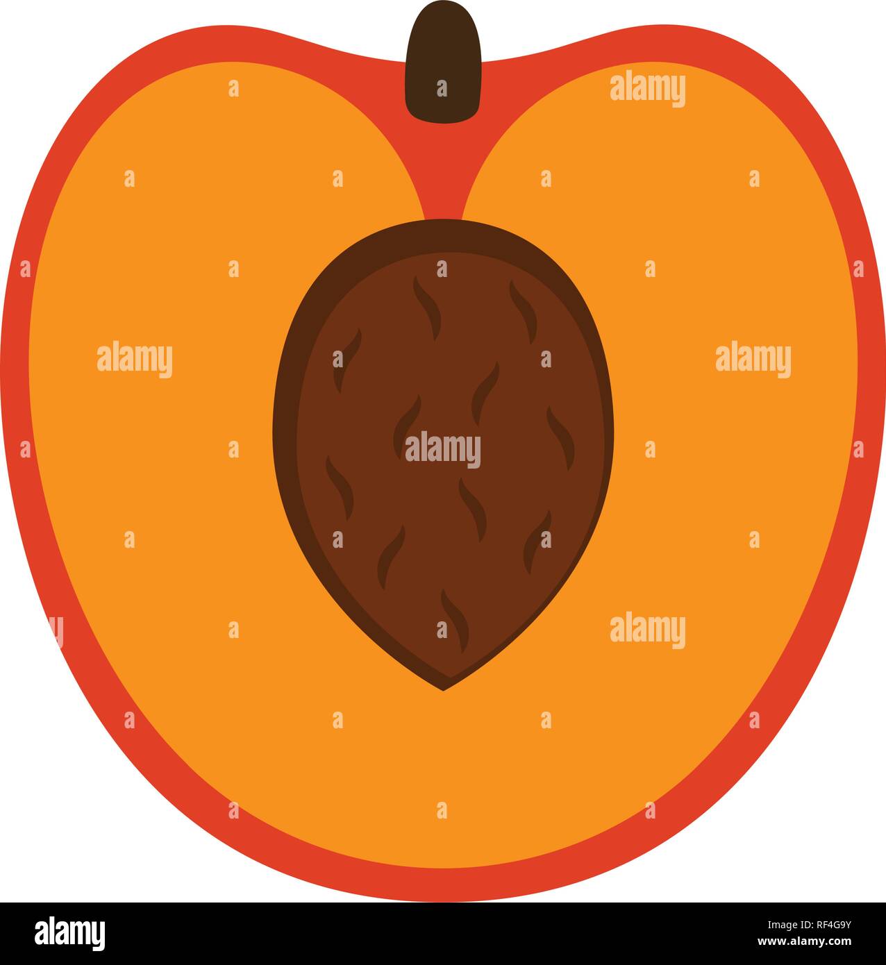 Peach detail Stock Vector Images - Alamy