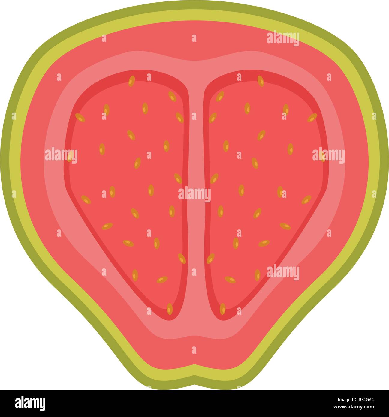 Isolated cut guayaba Stock Vector Image & Art - Alamy