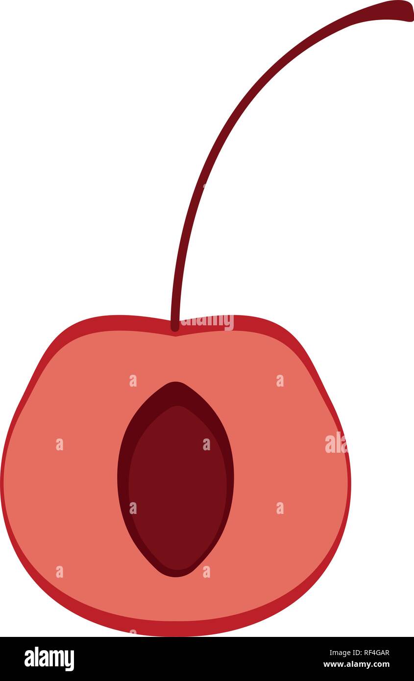 Cherry seed Stock Vector Images - Alamy