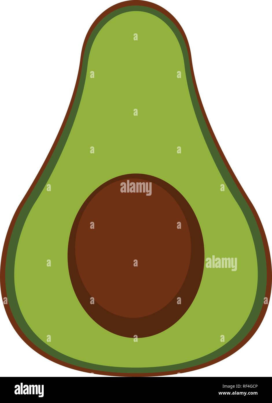 Front view of a cut avocado Stock Vector Image & Art - Alamy