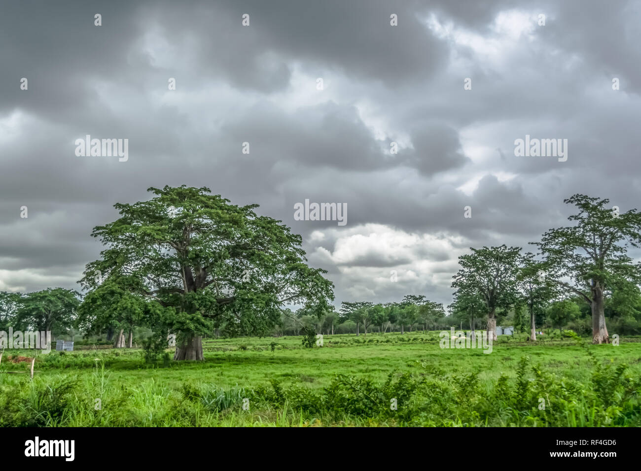 Trip through Angola's lands 2018: View with typical tropical landscape ...