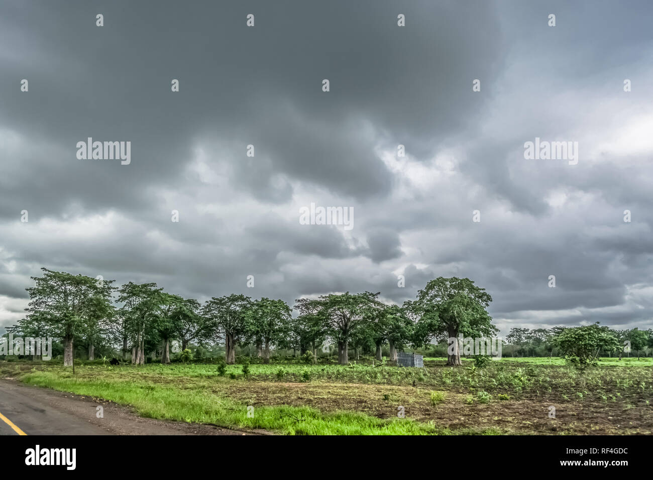 Trip through Angola's lands 2018: View with typical tropical landscape ...
