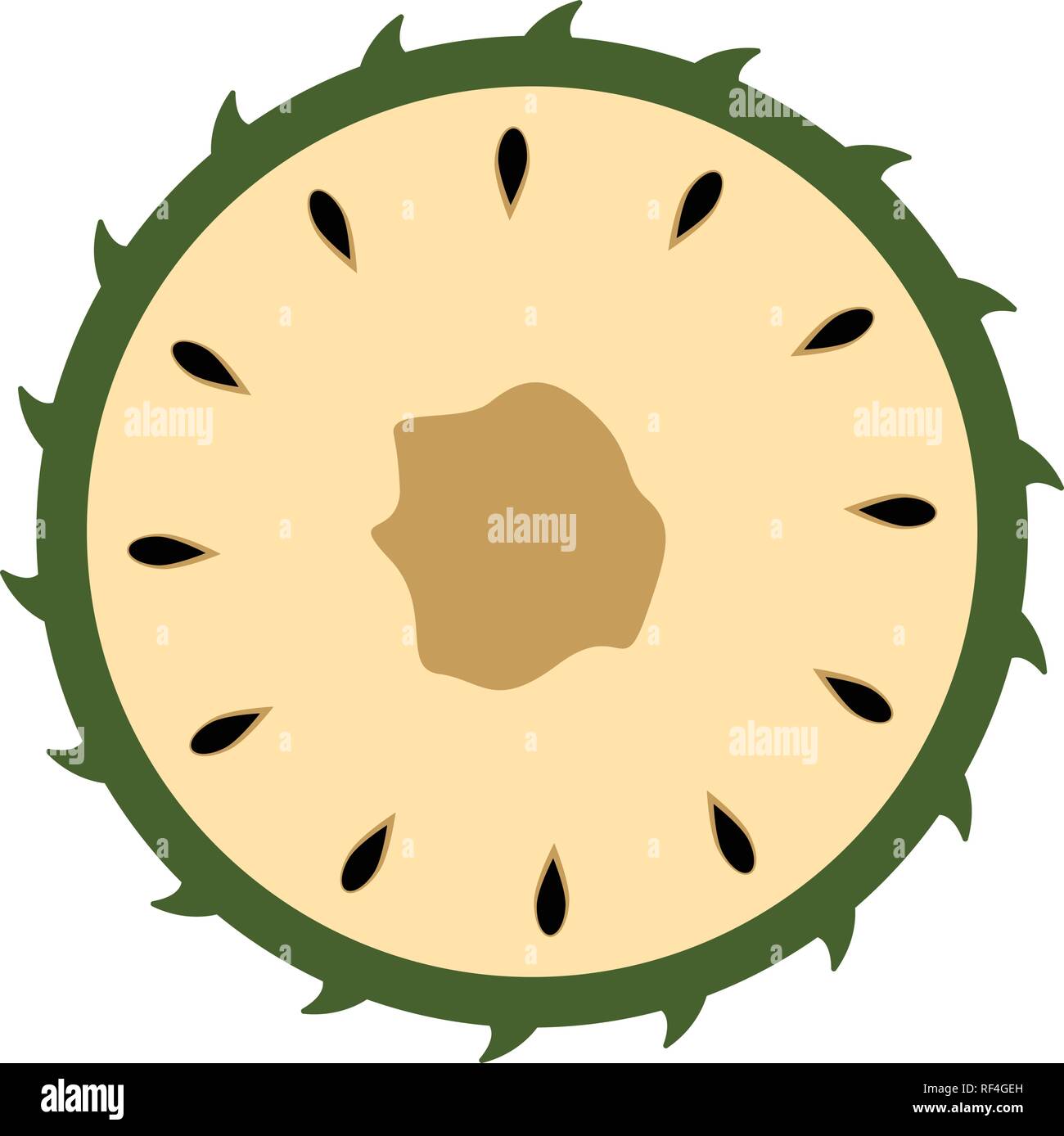 Isolated cut soursop Stock Vector Image & Art - Alamy