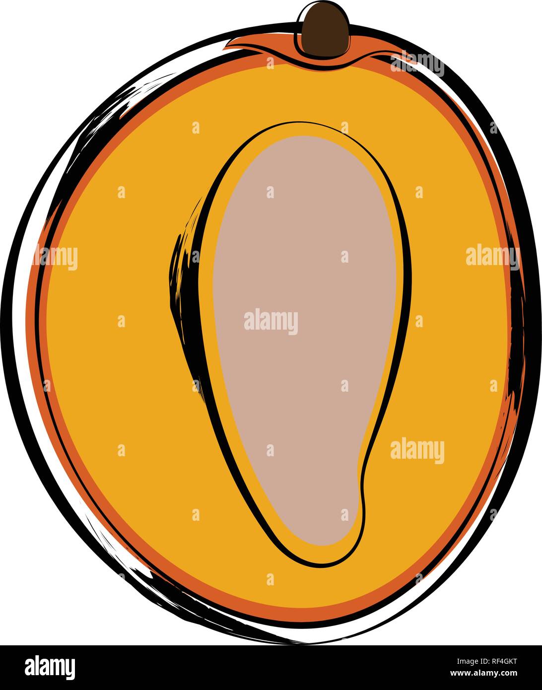 Isolated sketch of a cut mango Stock Vector Image & Art - Alamy