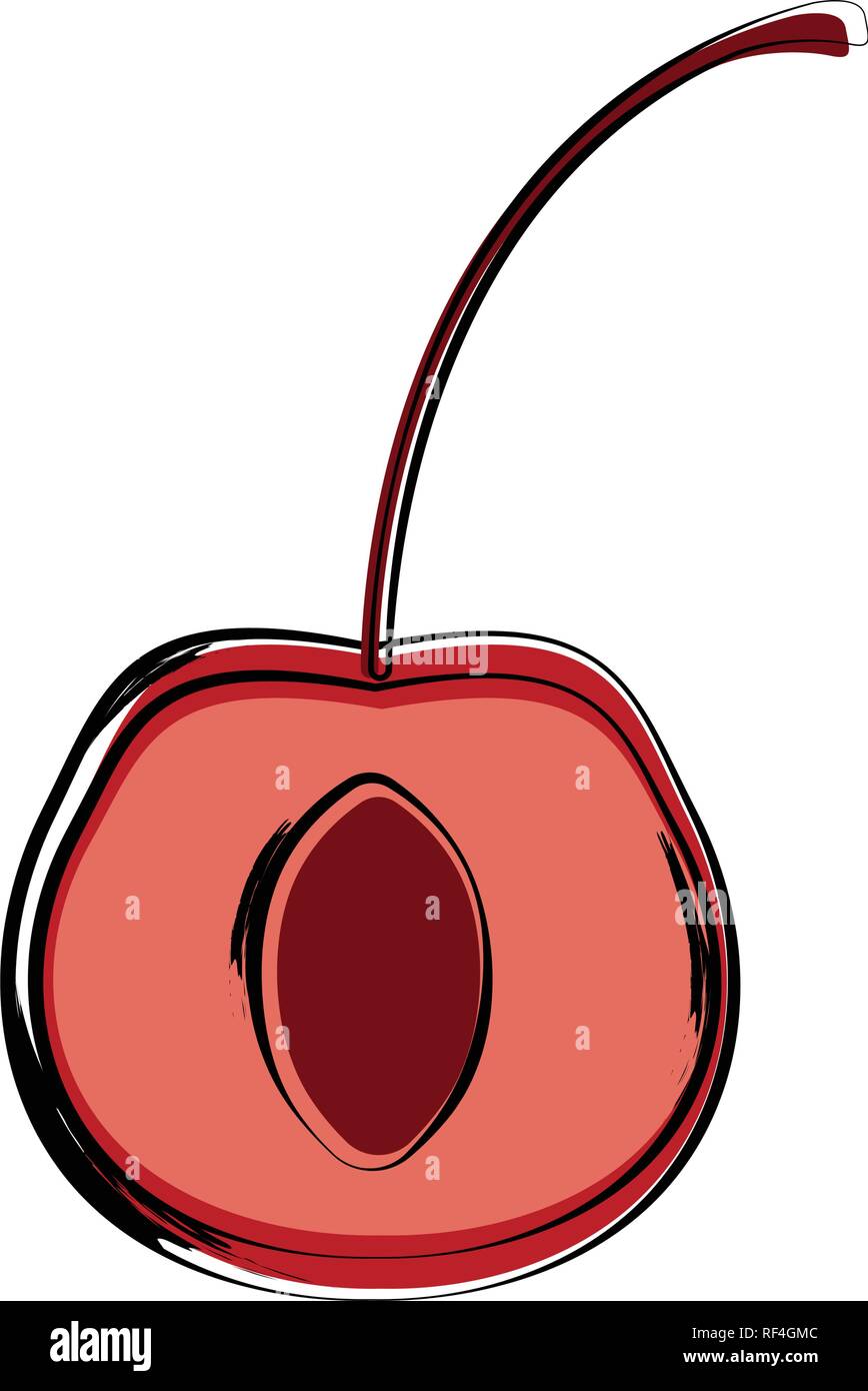 Isolated sketch of a cut cherry Stock Vector Image & Art - Alamy
