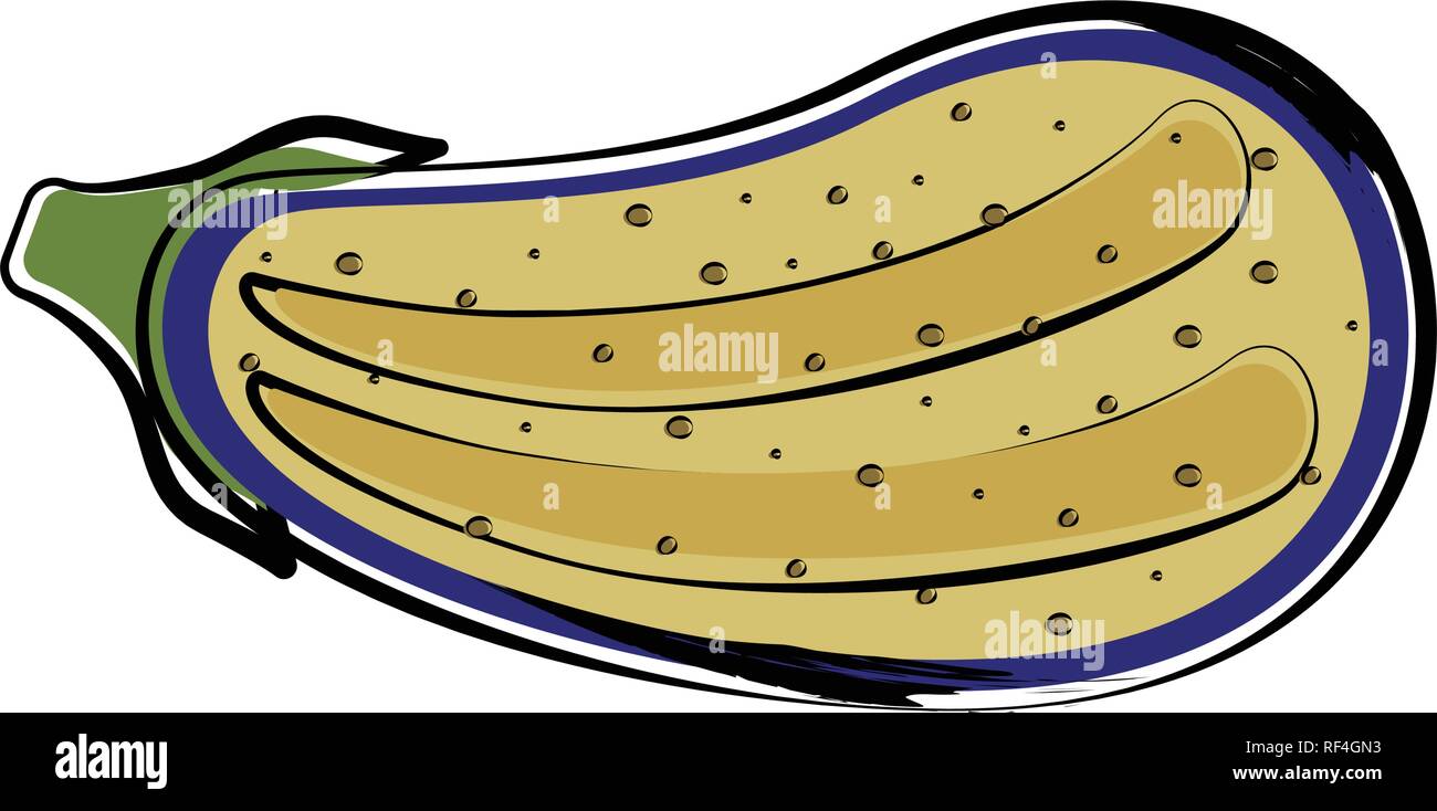 Fresh raw eggplant cut Stock Vector Images - Alamy