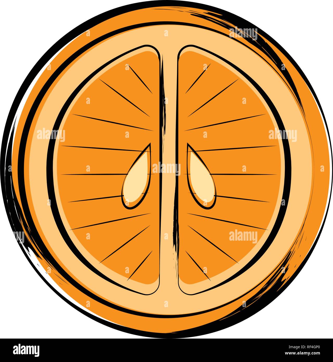 Isolated sketch of a cut orange Stock Vector Image & Art - Alamy
