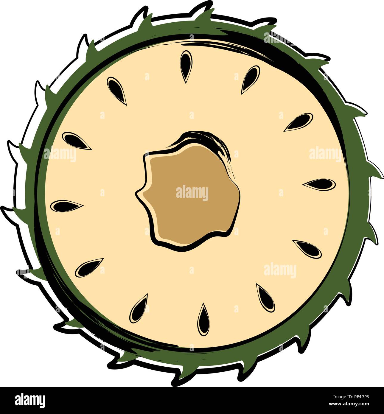 Isolated sketch of a cut soursop Stock Vector Image & Art - Alamy