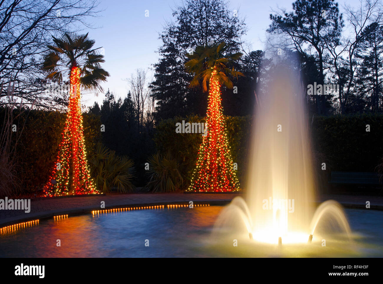 Christmas tree lit garden hi-res stock photography and images - Alamy