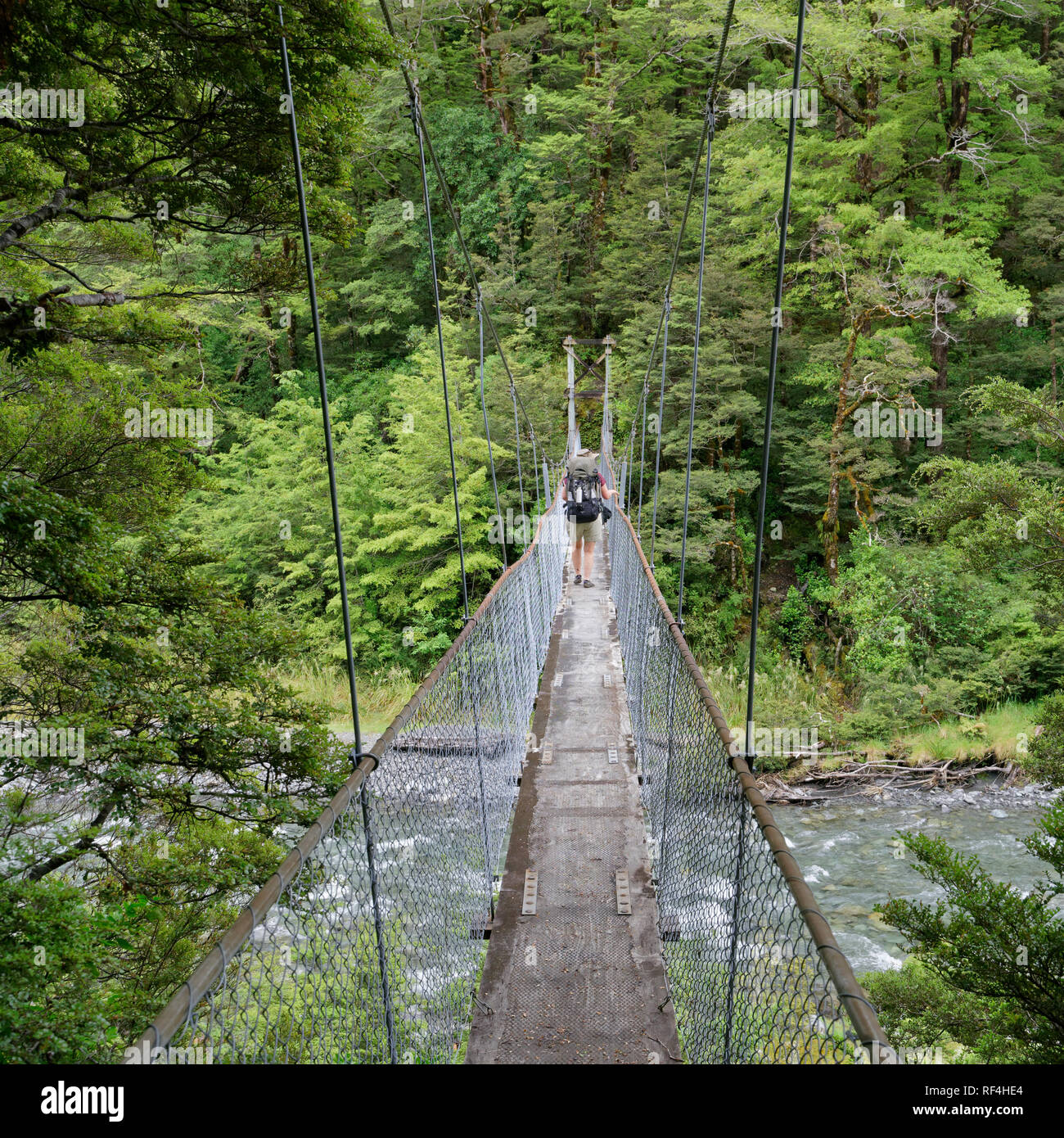 Cannibal gorge swing bridge hi-res stock photography and images - Alamy