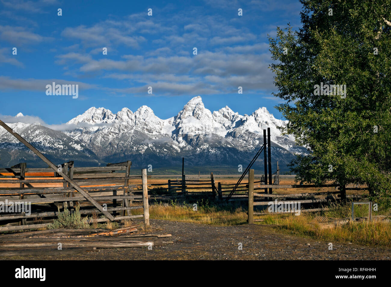 WY02906-00...WYOMING - An old fence on Antelope Flats and the Teton ...