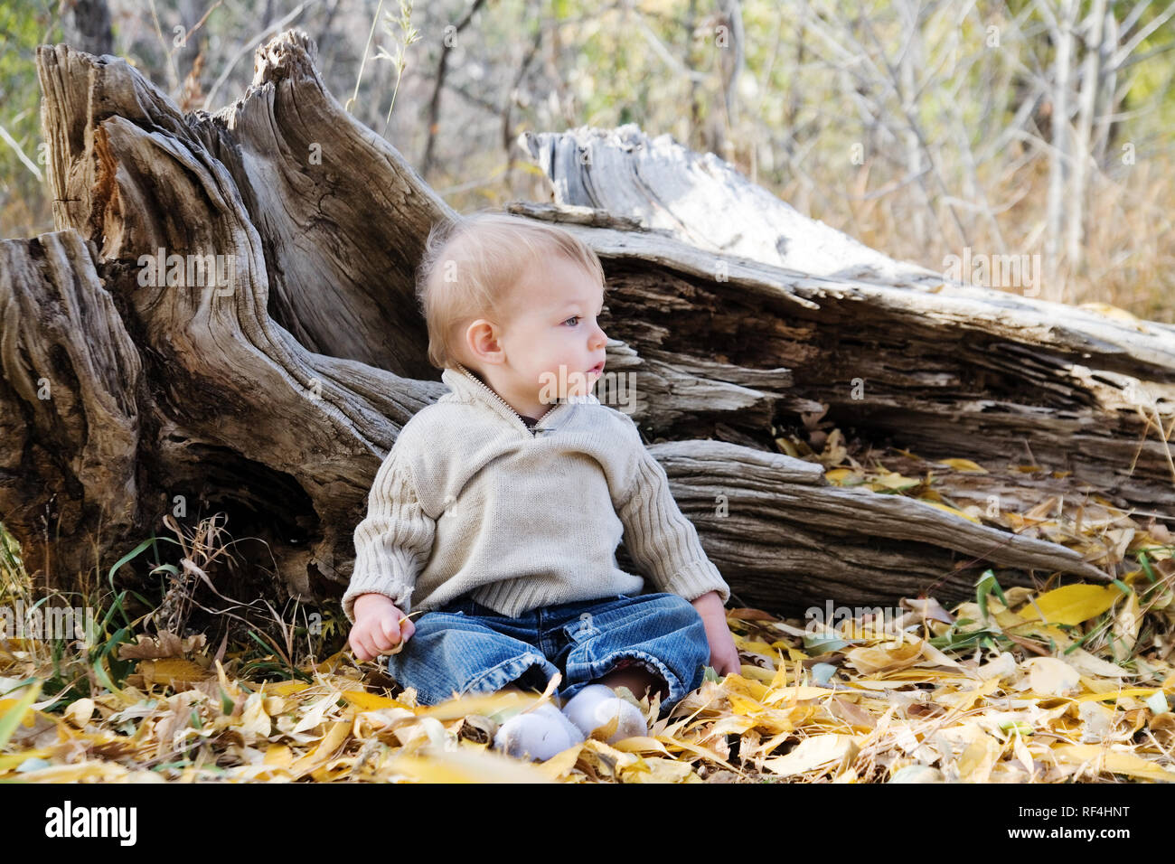 Baby boy sitting in the woods surrounded by fall foliage Stock Photo ...