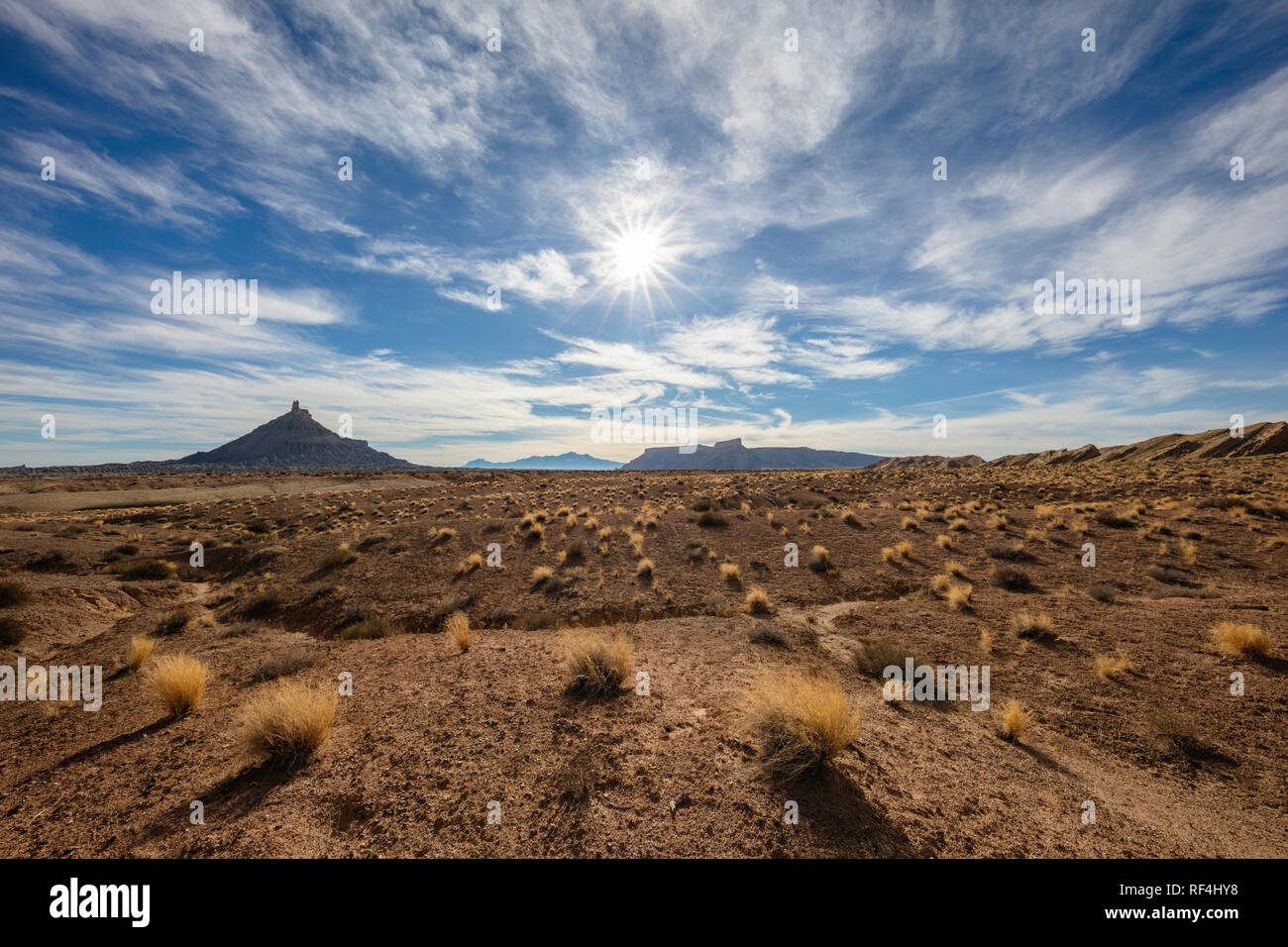 Wayne county hi-res stock photography and images - Alamy