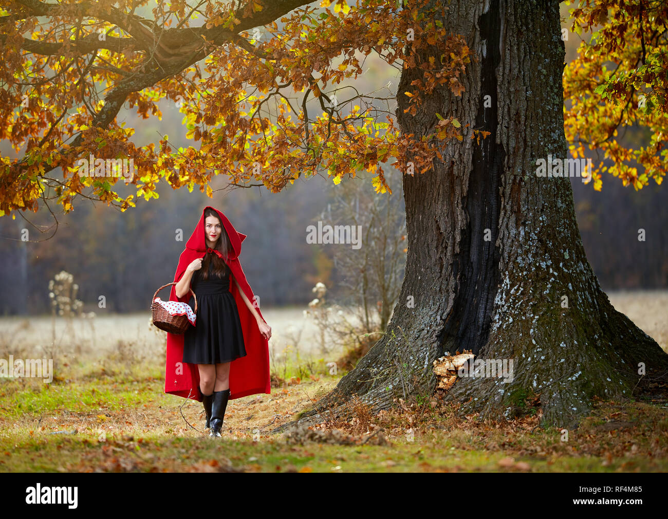 Red riding hood in the forest by an oak tree Stock Photo - Alamy