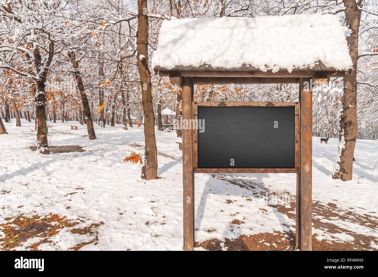 Wooden board forest information with forest snow season winter ...