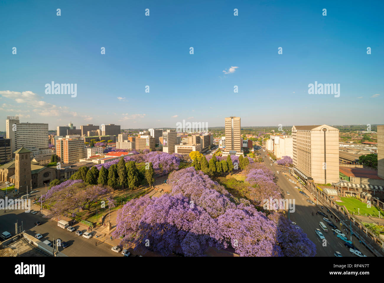 Zimbabwe harare jacaranda hi-res stock photography and images - Alamy