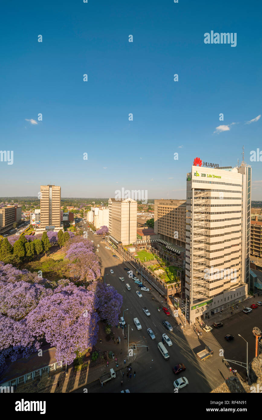 Zimbabwe harare jacaranda hi-res stock photography and images - Alamy